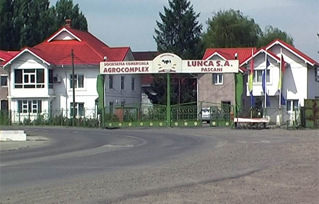 NewsPascani.com Pașcani, Târgu Frumos, Iași - Agrocomplex Lunca S.A ...
