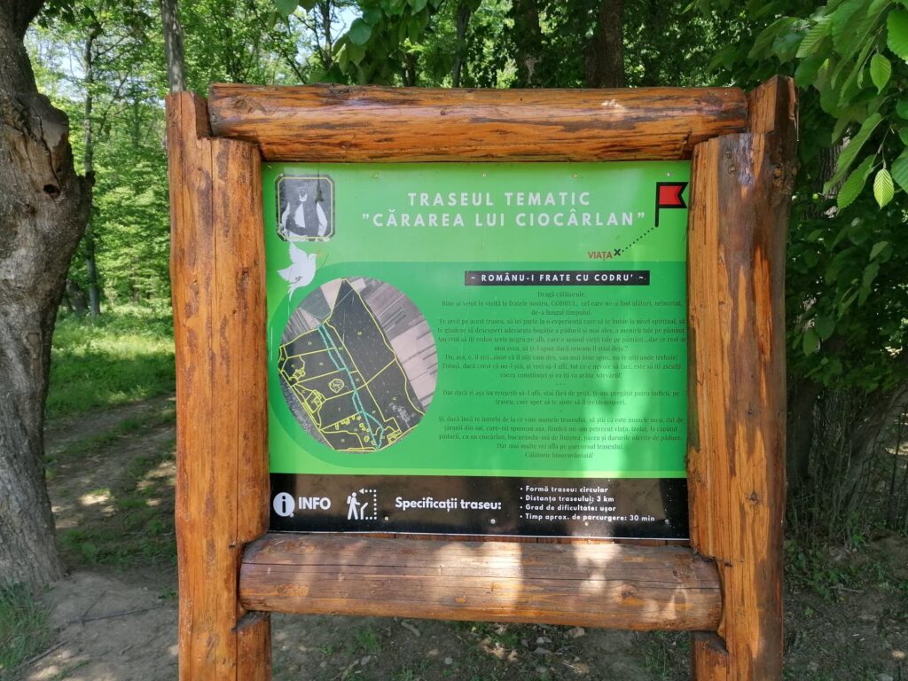 NewsPascani.com Pașcani, Târgu Frumos, Iași - Traseu tematic în Pădurea ...