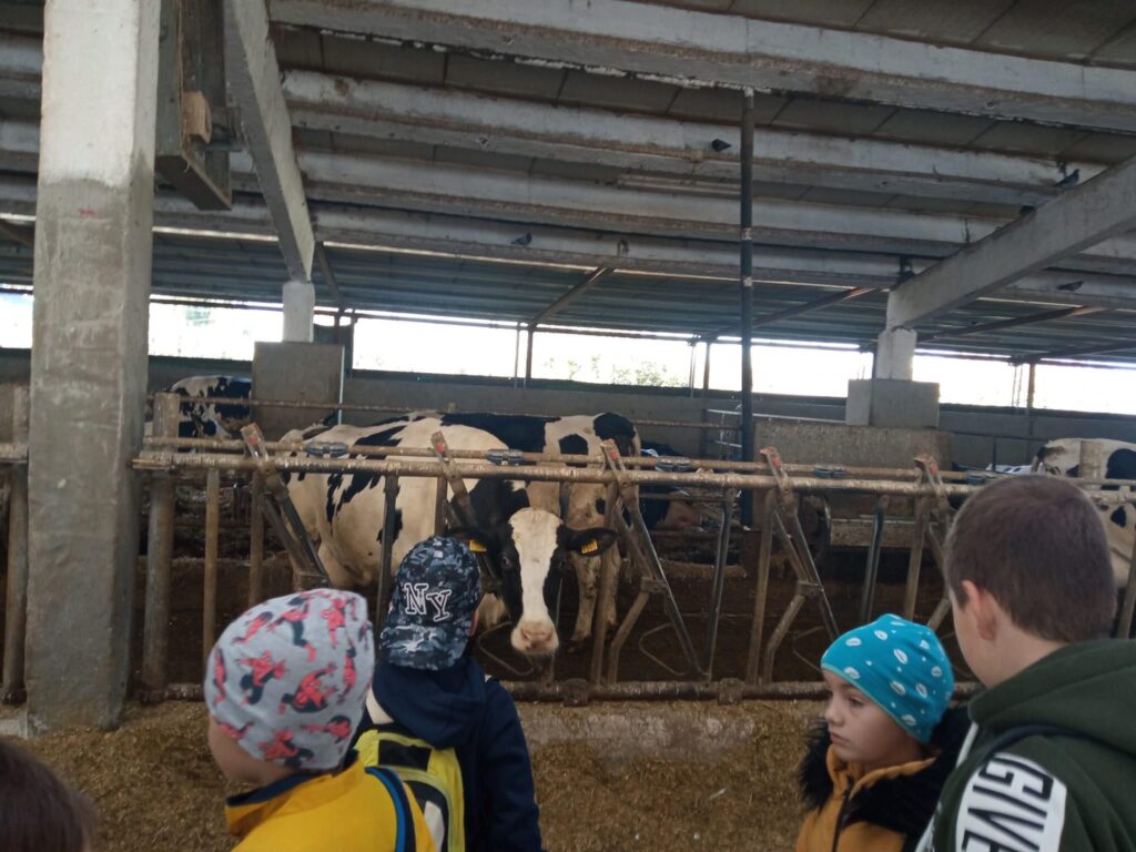 NewsPascani.com Pașcani, Târgu Frumos, Iași - O zi inedită la ...