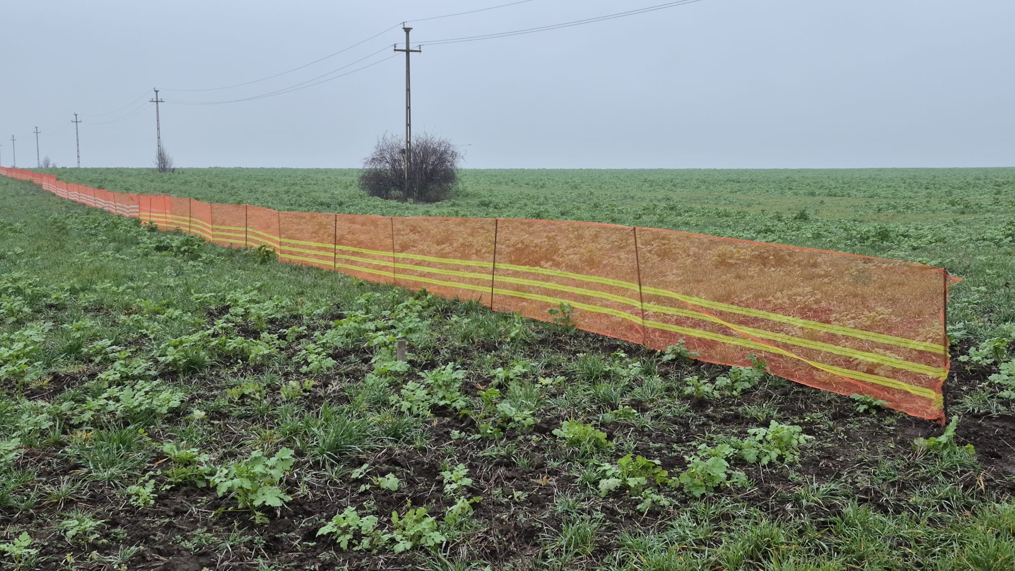 NewsPascani.com Pașcani, Târgu Frumos, Iași - Parazăpezi instalate pe ...